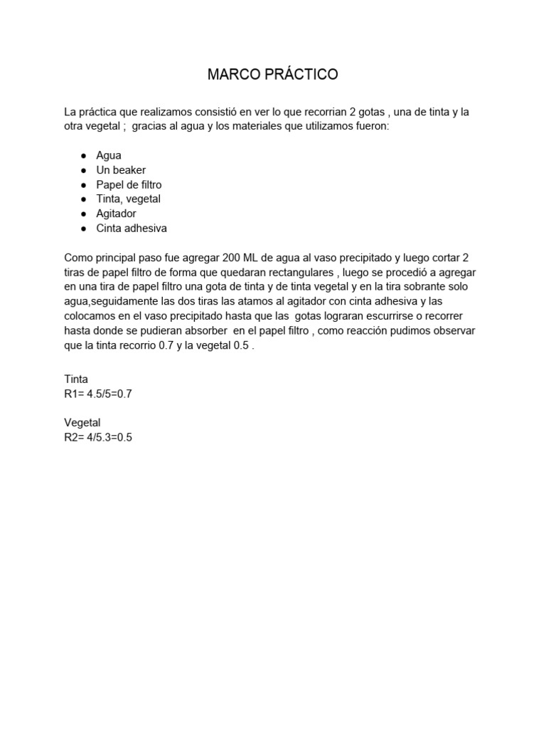 Marco Practico | PDF