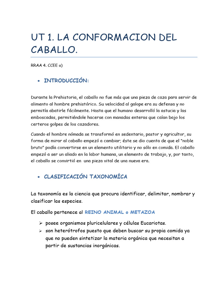 Ut 1. La Conformacion Del Caballo | PDF | Caballos | Rodilla