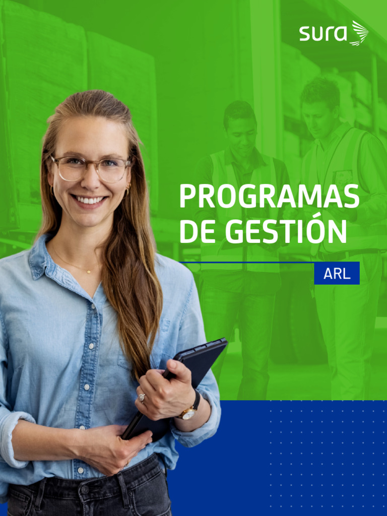 CARTILLA DEL PROGRAMAS DE GESTION v2 1 | PDF | Riesgo | Business