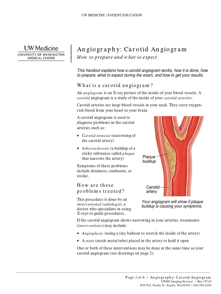 Carotid Angiogram: Procedure Overview | PDF | Angiography | Radiology