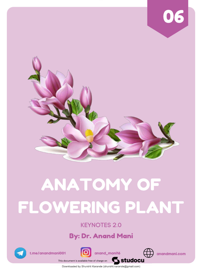 6. Anatomy of Flowering Plants | PDF