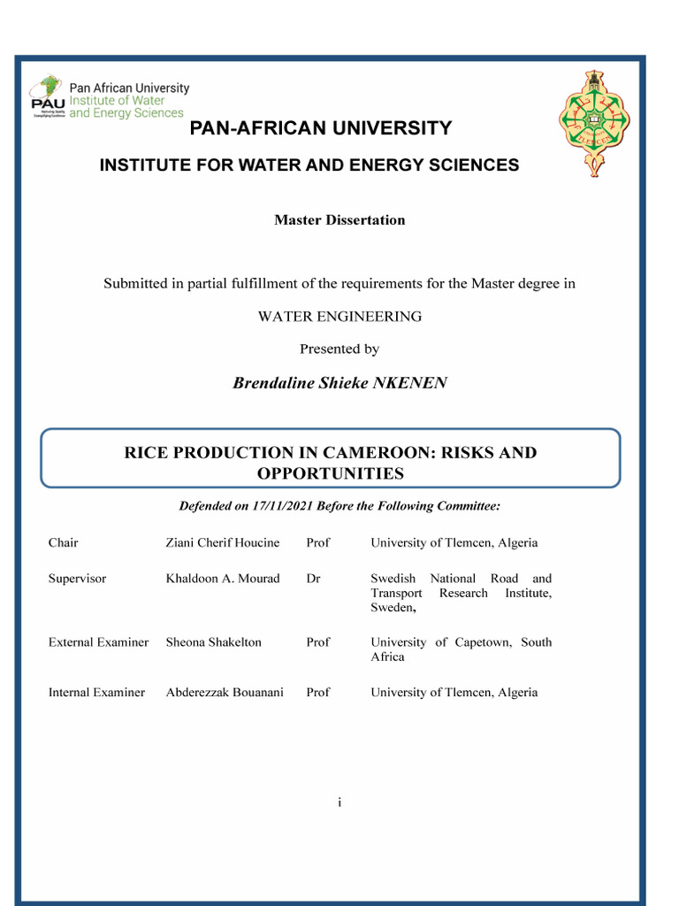 Rice Production and Risk | PDF | Food Security | Rice