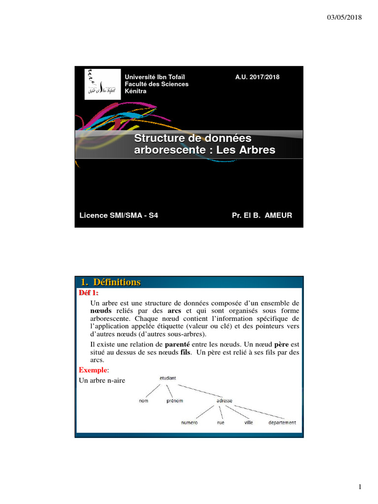 Structures et Applications des Arbres | PDF | Algorithmes et structures de données