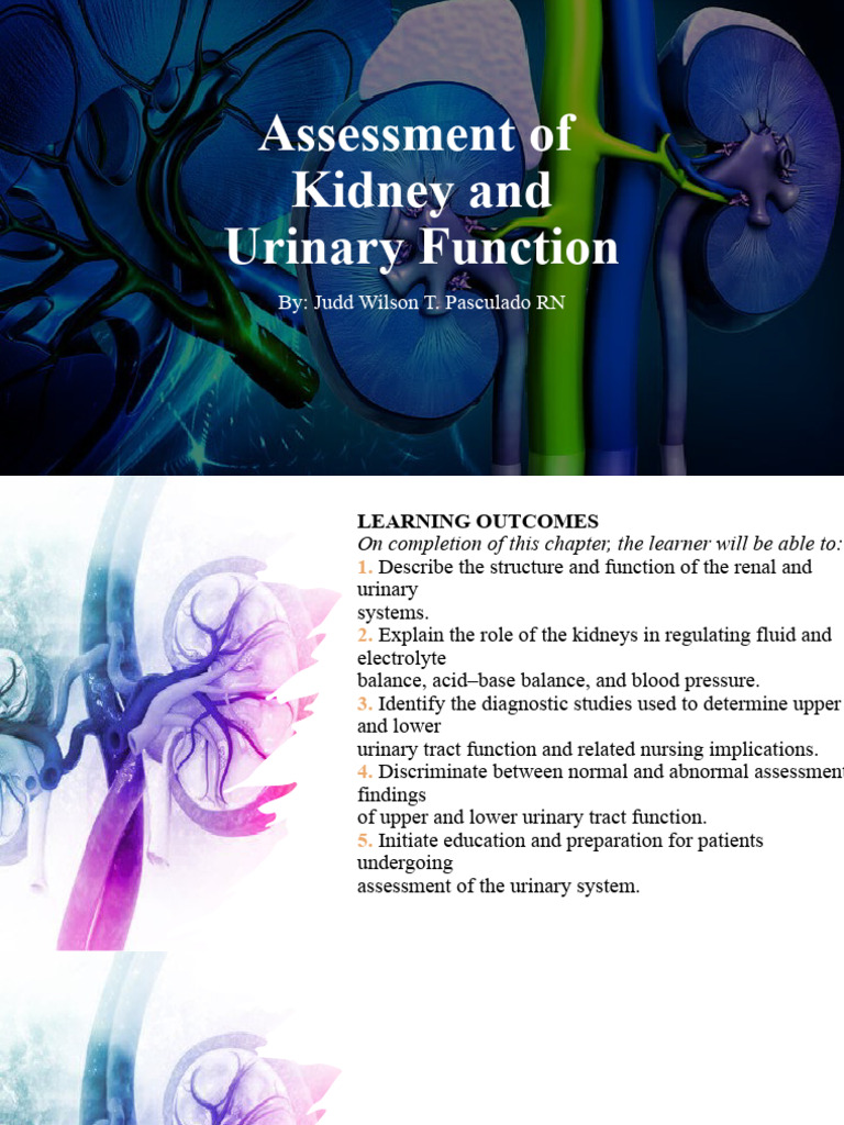 Assessment-of-Kidney-and-Urinary-Function | PDF | Kidney ...