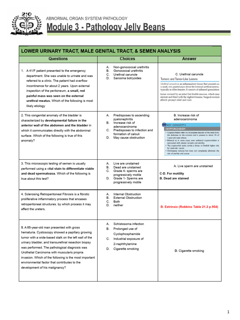 PATHOLOGY Module 3 Pathology Jelly Beans | PDF | Testicle | Prostate