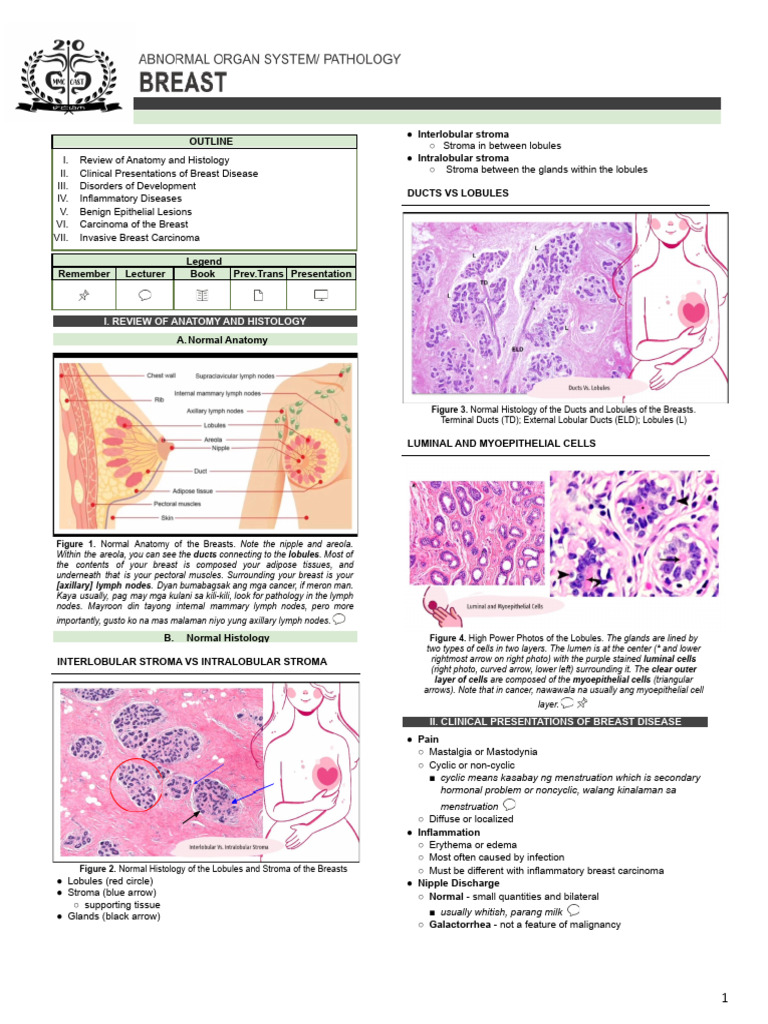 (Pathology) Breast | PDF | Breast Cancer | Carcinoma