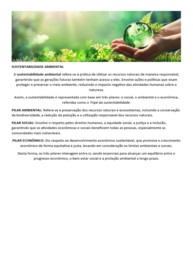 Sustentabilidade Ambiental e Seus Pilares | PDF | Finanças e ...