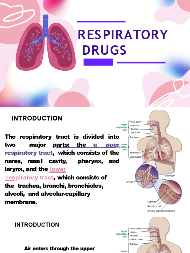 Respiratory Drugs | PDF | Respiratory Tract | Respiratory Diseases