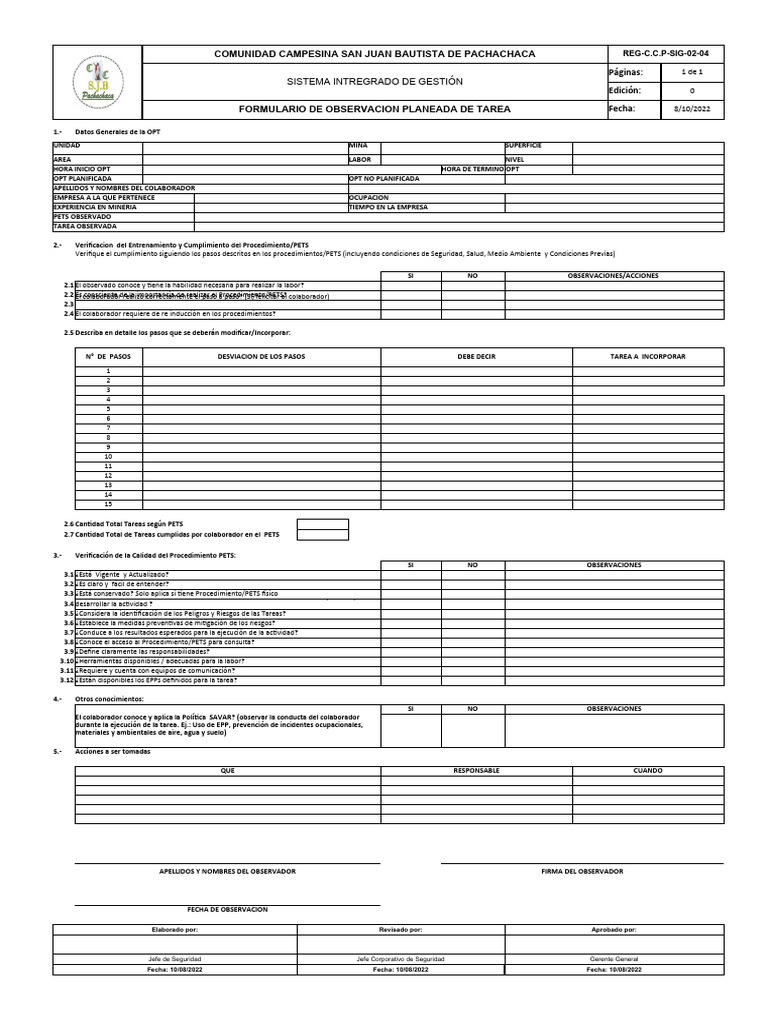Formulario de OPT | PDF