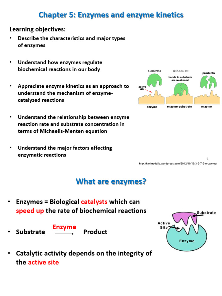 Chapter 5 Enzymes and Enzyme Kinetics | PDF | Enzyme | Cofactor ...