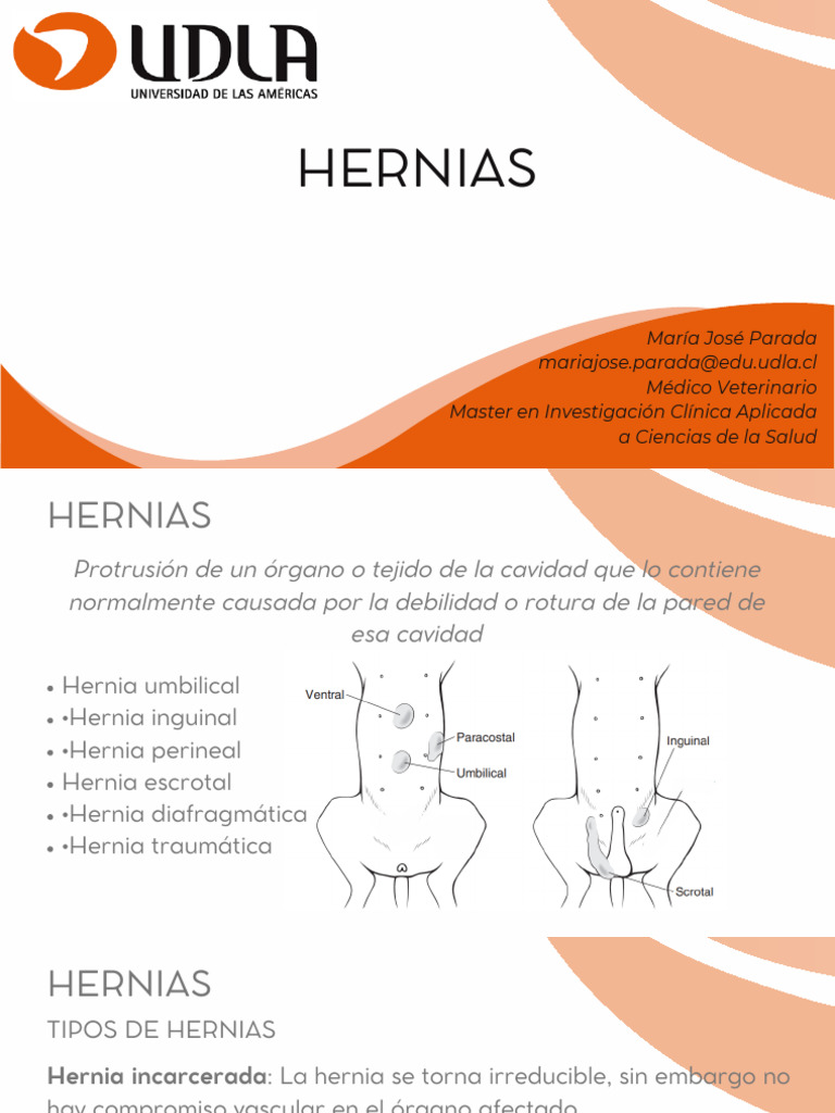 Tipos y Tratamientos de Hernias | PDF | Anatomía