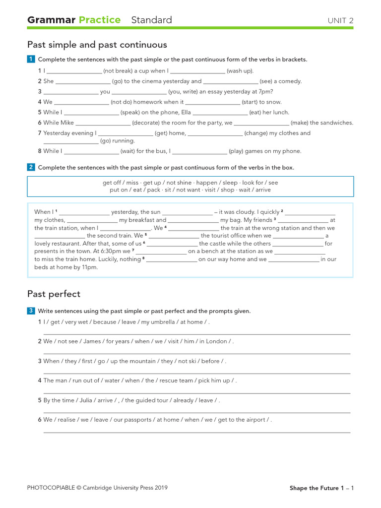 Shape The Future 1 - Grammar Practice Standard - Unit 2 - Without ...
