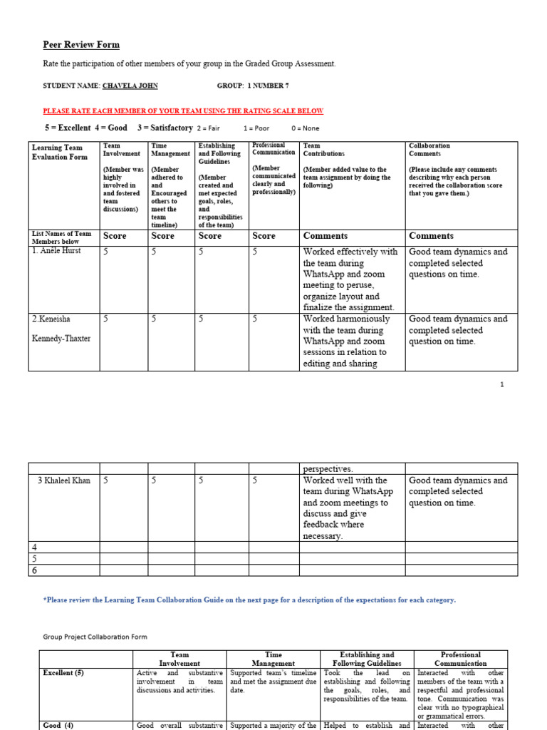 MGMT3038 Peer Review Form | PDF | Human Communication | Cognition