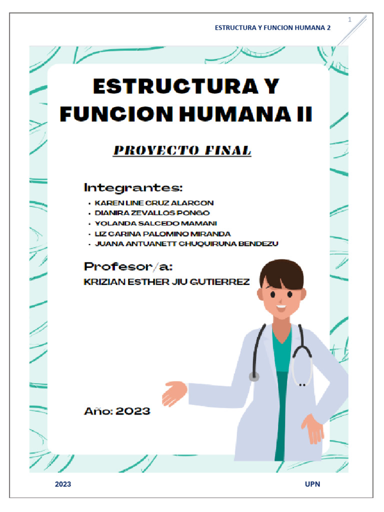 T4 Informe Estructura Funcion Humana | Descargar gratis PDF | Vagina | El embarazo