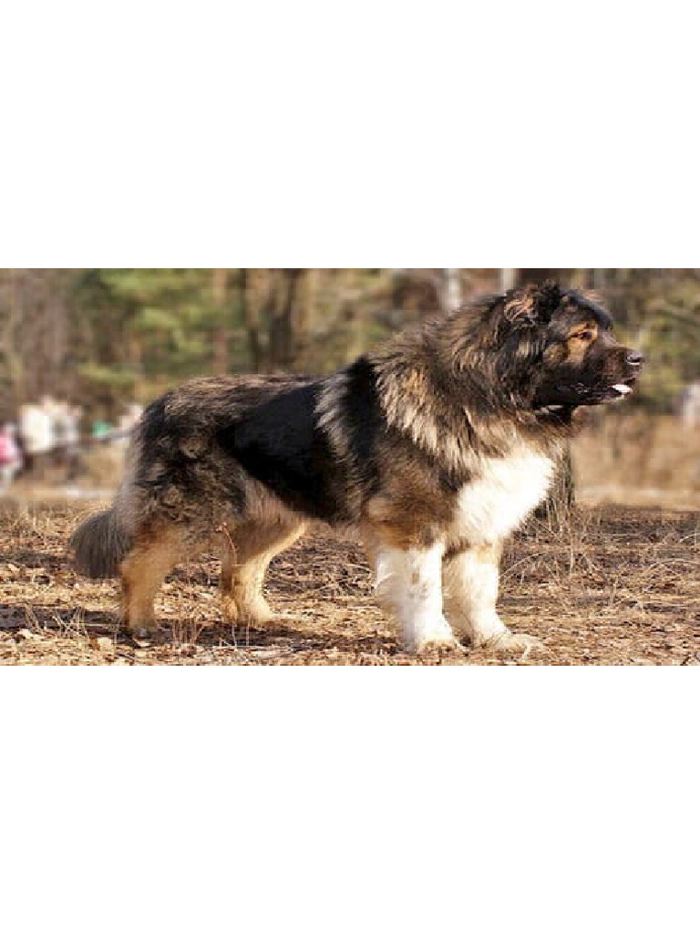 Image to pdf 18-abr-2024 | PDF