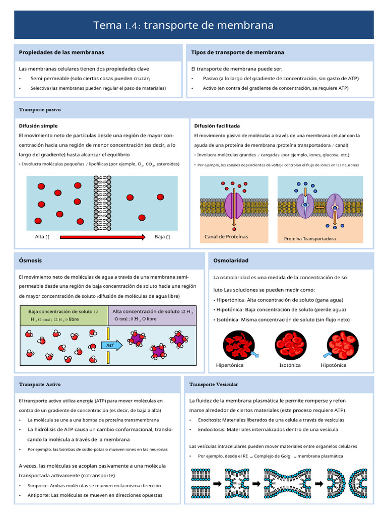 Transporte de membrana | PDF | Biotecnología | Biología Celular