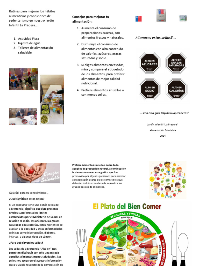 Triptico Vida Saludable | Descargar gratis PDF | Alimentos | Dieta ...