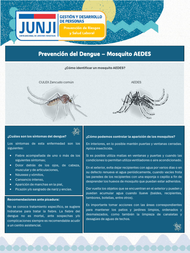 Ficha Preventiva Mosquito AEDES | PDF