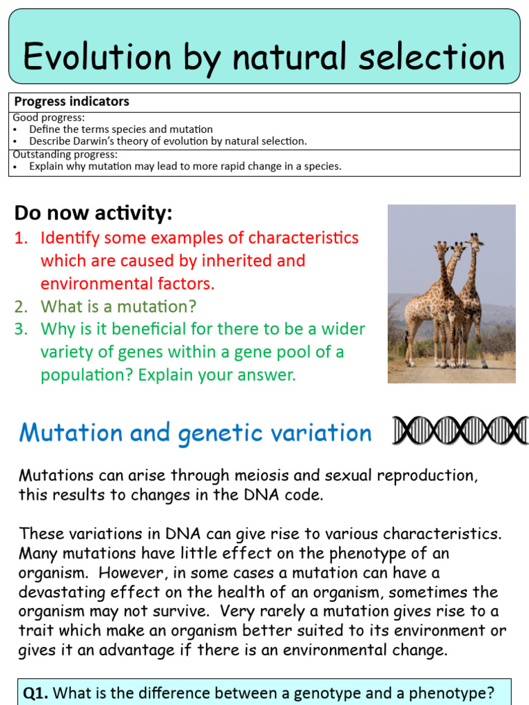 8C36DB80F96D00A4CD2DE4E7BC721FC9 | PDF | Mutation | Natural Selection