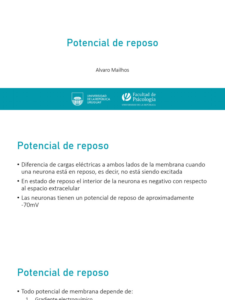 Entendiendo el Potencial de Reposo Neuronal | PDF | Neurona | Potencial ...
