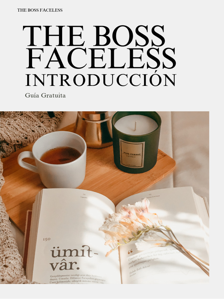 Guia Gratuita Faceless | PDF | Anonimato | Revendedores