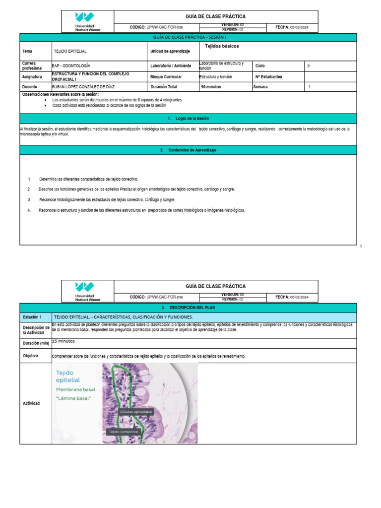 GuÍa PrÁctica Esructura y FunciÓn Del Complejoorofacial 1 | PDF ...