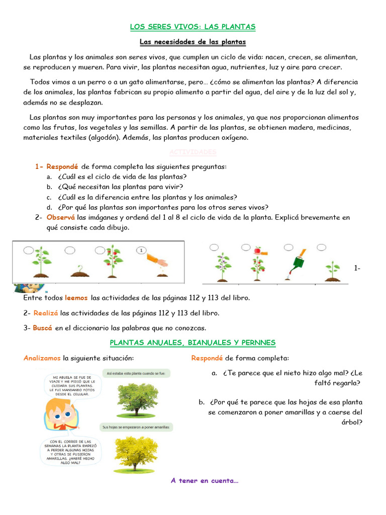 Secuencia Plantas | PDF | Plantas | Botánica
