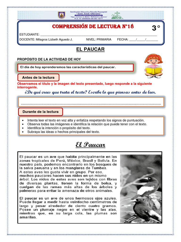 Plan Lector N°18 - 2023 - Tercer Grado | PDF | Comprensión lectora ...