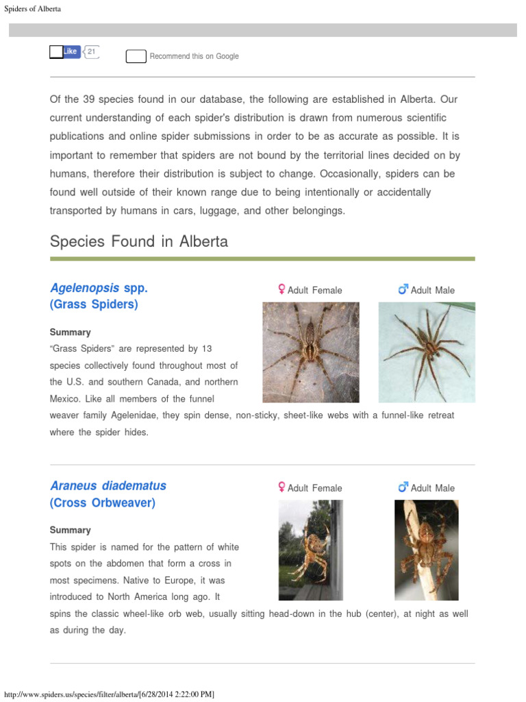 Spiders-of-Alberta | PDF | Spider | Arthropods