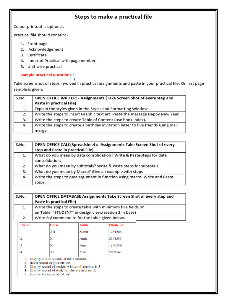 Practical File Instruction | Download Free PDF | Application Software | Computer Data