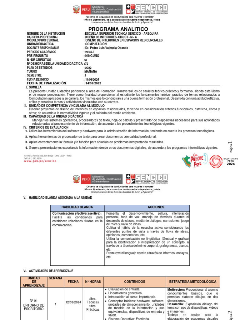 Programa Analitico Computacion D1 Mañana A | PDF | Aprendizaje | Informática