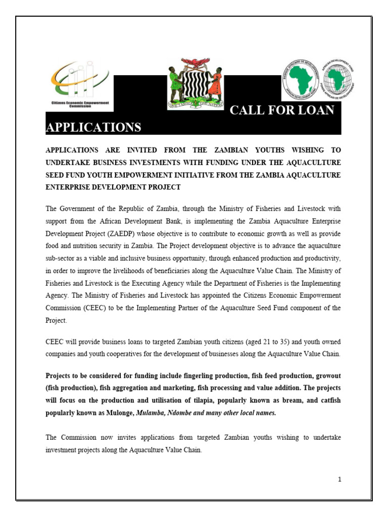 ASF - Youth Empowerment Initiative (Poster) | Download Free PDF ...