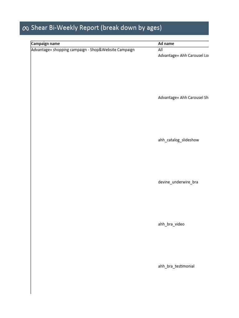 Shear Bi Weekly Report Break Down by Ages | PDF