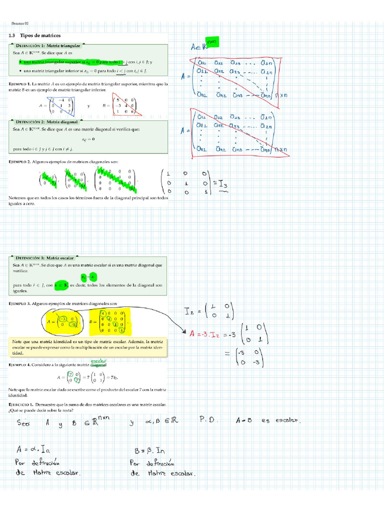 Tipos de Matrices Matriz Escalonada | PDF