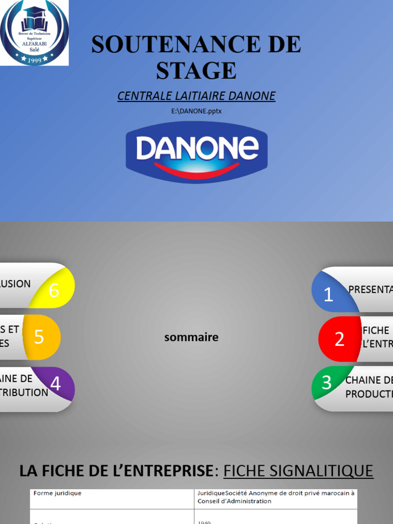 DANONE | PDF