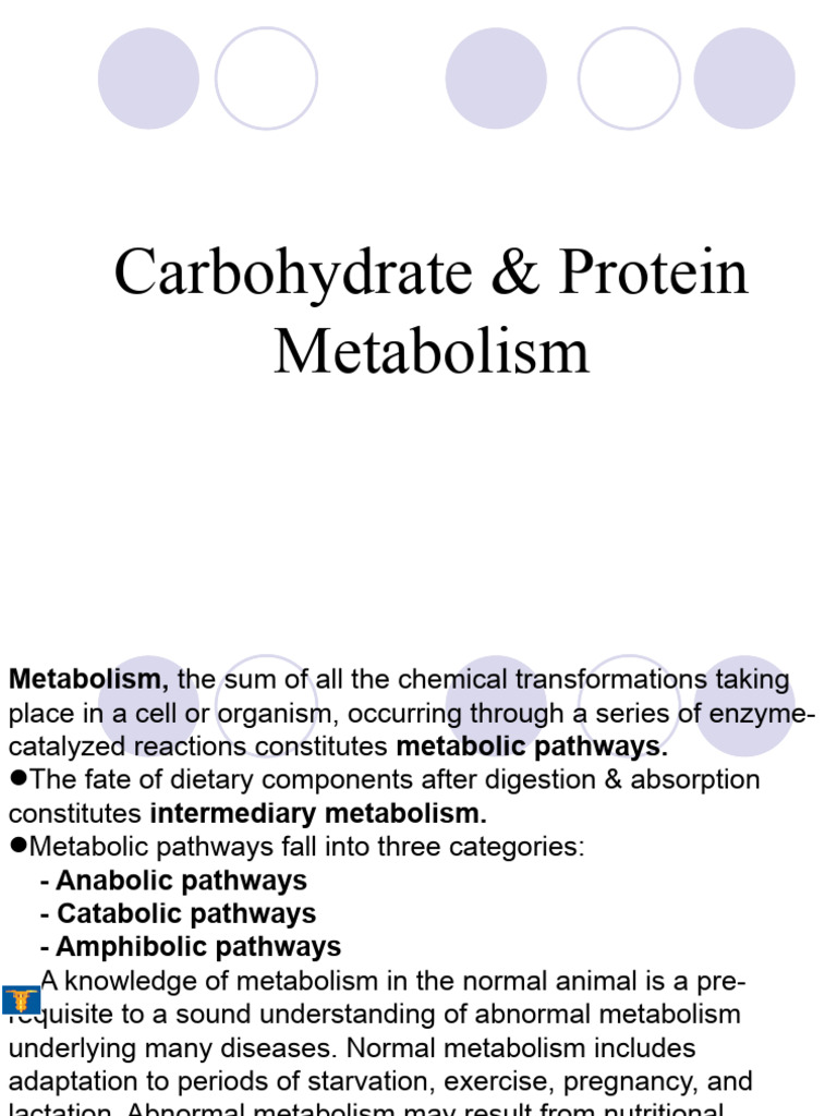 Carbohydrate & Protein Metabolism | PDF | Diet & Nutrition | Chemistry