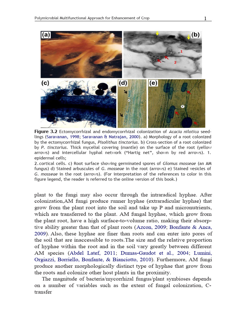 Advances in Applied Microbiology 82 by Sima Sariaslani and Geoffrey M ...