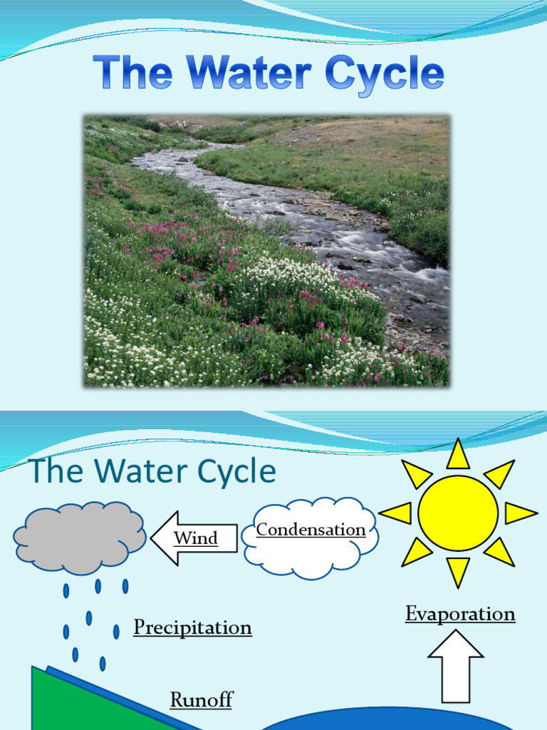 Understanding the Water Cycle Process | PDF