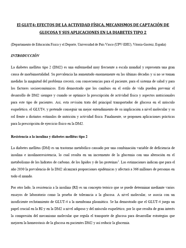 GLUT4 y su rol en diabetes tipo 2 | PDF | Diabetes | Hipoglucemia