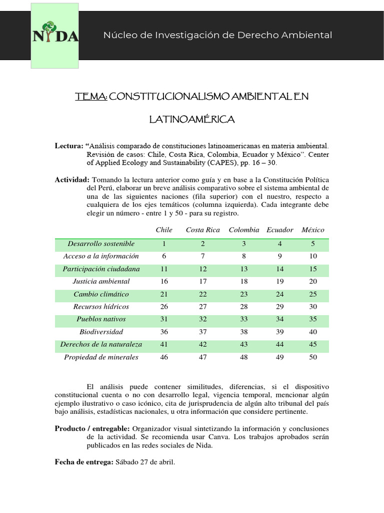 Actividad N°2 NIDA 2024 | PDF
