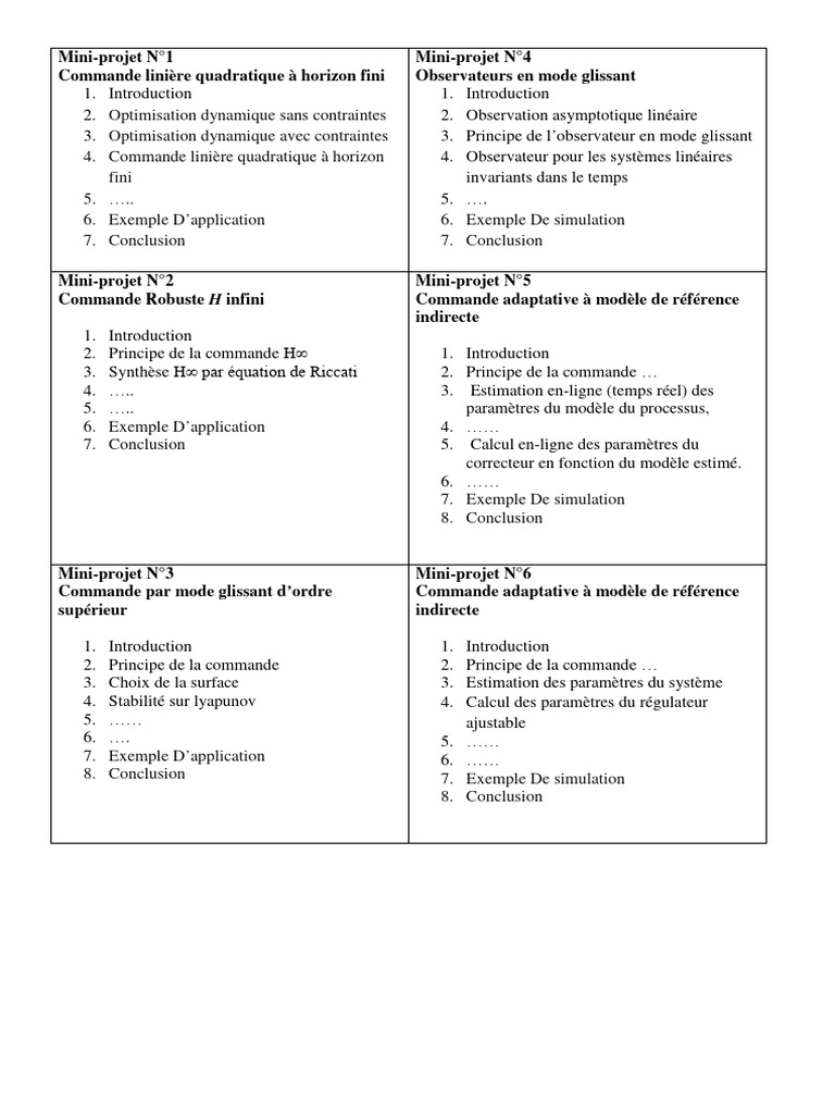 Mini Projet | PDF | Simulation | Optimisation mathématique