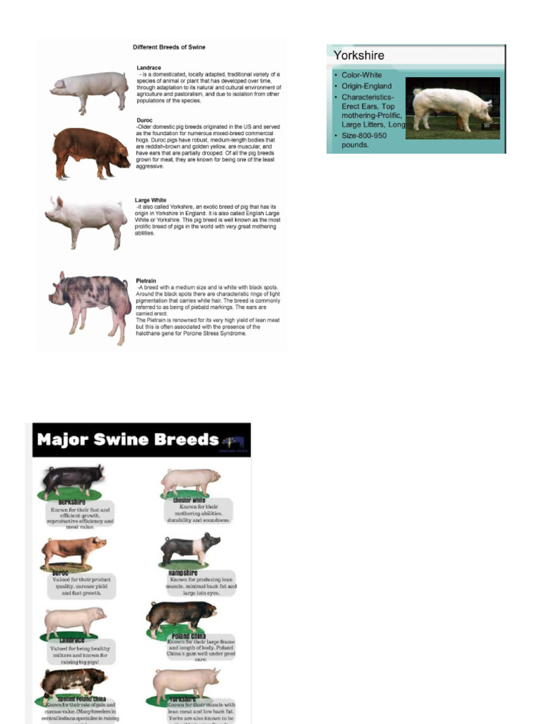 Bogss 070125 | PDF Bogss 070125 | PDF