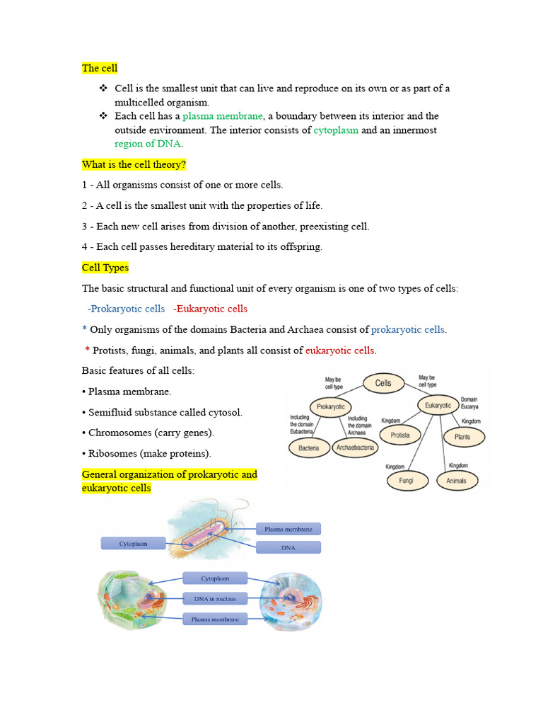 Lecture 3. | PDF | Cell (Biology) | Endoplasmic Reticulum