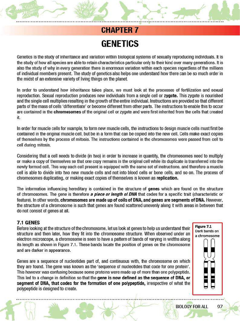 Netics Compressed | PDF
