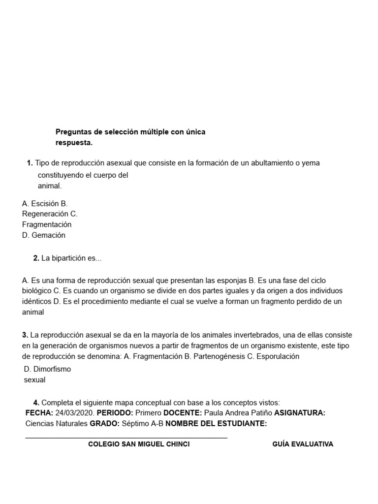 Bimestral Séptimo (Periodo 1) Naturales | PDF | Plantas | Nutrientes