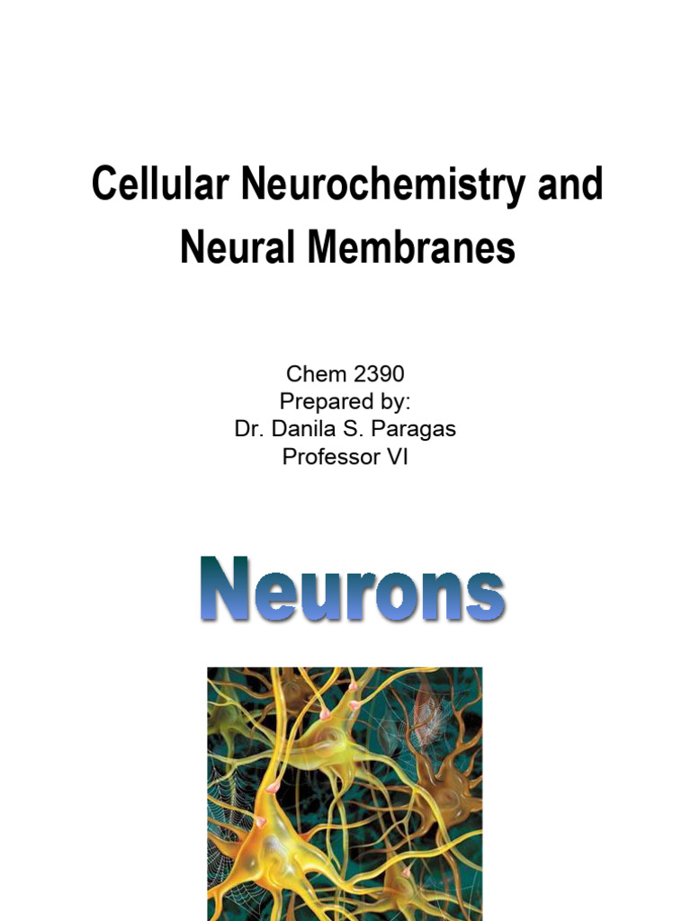 Structure and Function of Neurons | PDF | Myelin | Axon