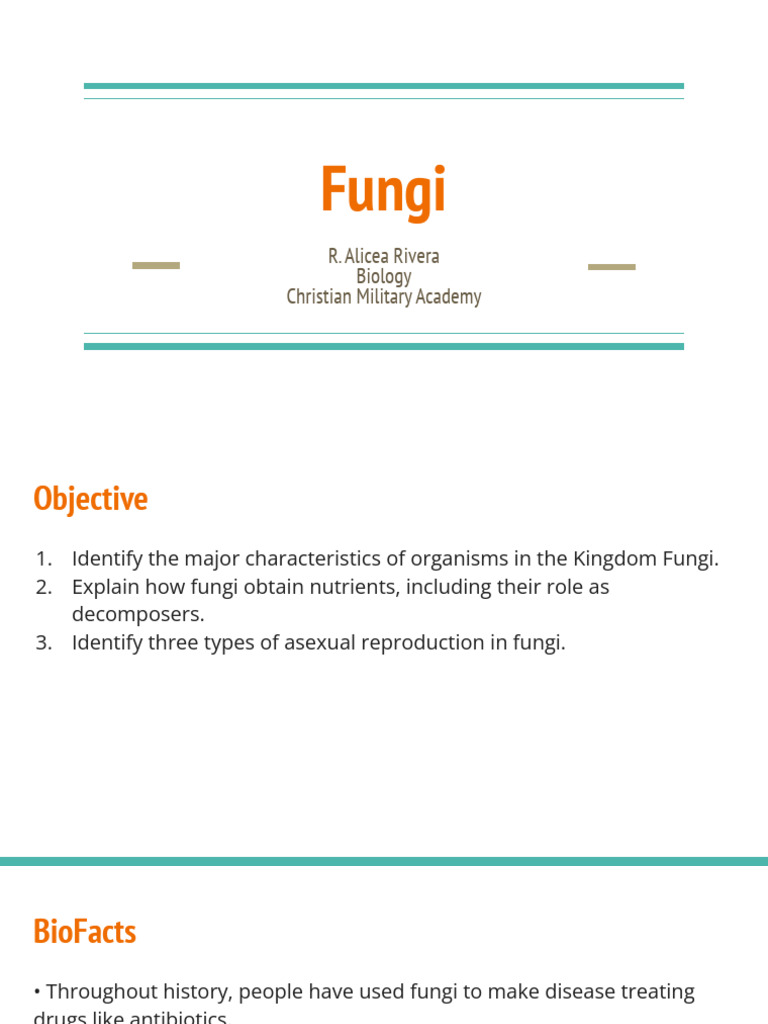 Lesson 6 Biology | PDF | Fungus | Spore