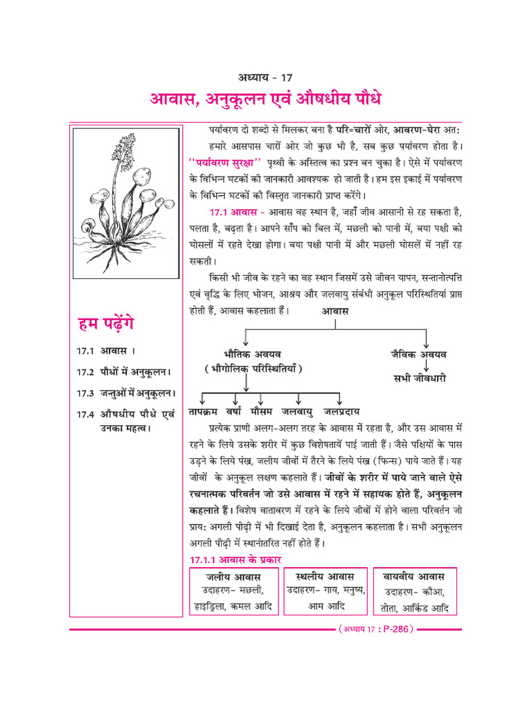 Chapter 17 Min | PDF
