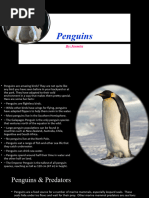 Penguin Facts for Young Readers | PDF