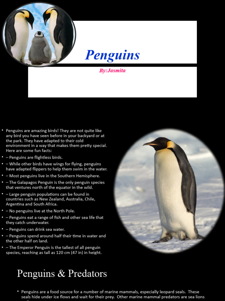Penguins - A Short Description | PDF